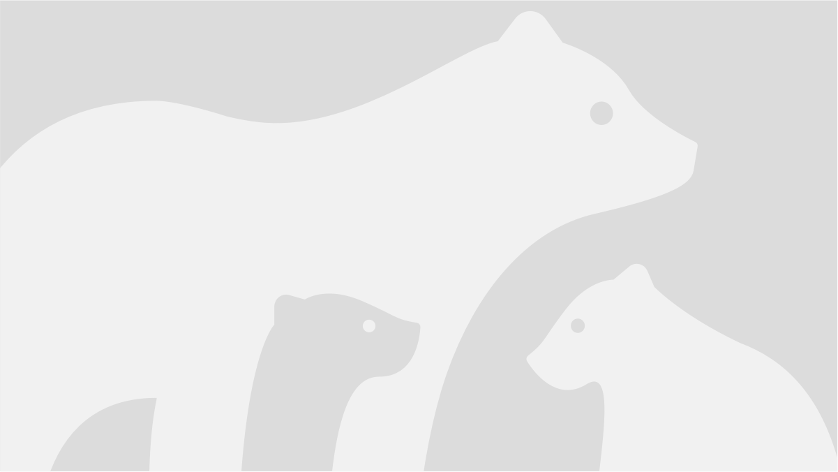 Gizzard Shad Incident at Bruce A - March 2025 | Saugeen Ojibway Nation ...